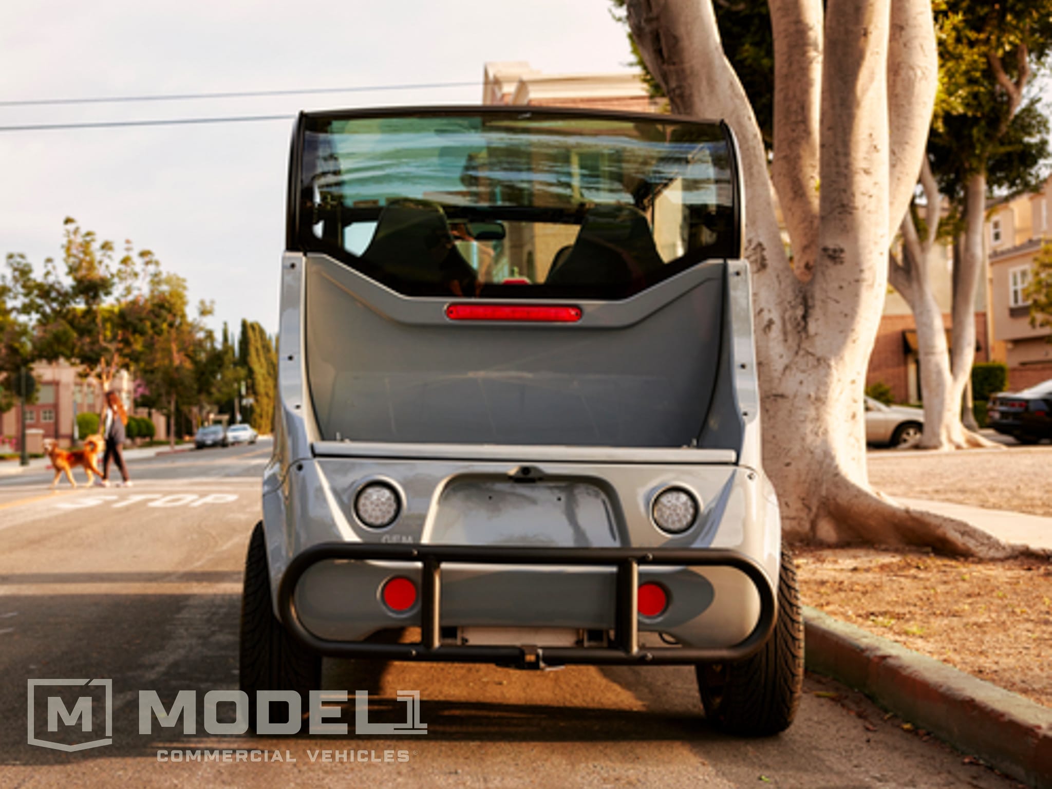 2025 GEM e4 - 4 Passenger | Model 1